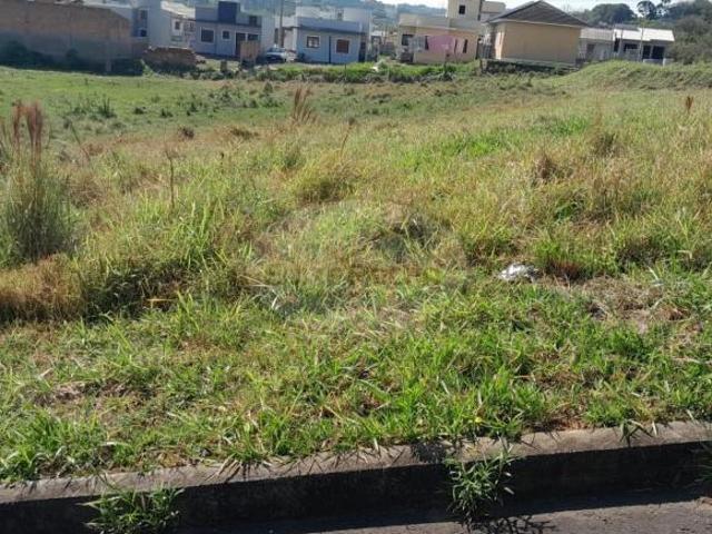 Terreno, Loteamento Canaã, Santo Antônio da Patrulha, RS