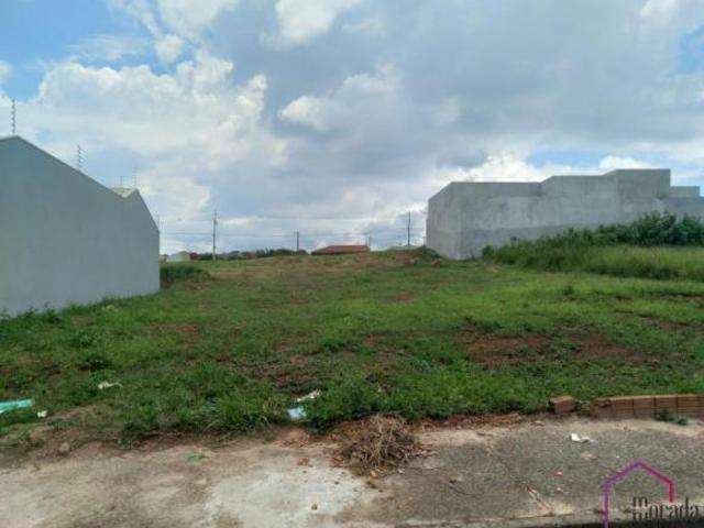 Terreno, Loteamento Cidade Jardim, Catanduva, SP