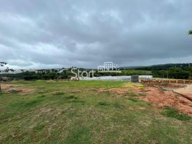 terreno Loteamento Alphaville Campinas Campinas