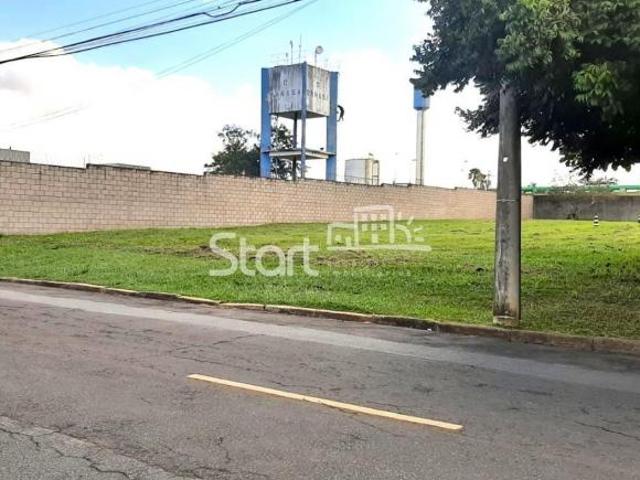 terreno Loteamento Alphaville Campinas Campinas