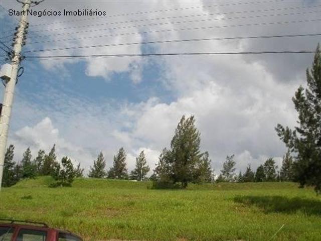 terreno Loteamento Alphaville Campinas Campinas