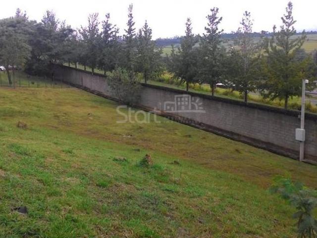 terreno Loteamento Alphaville Campinas Campinas