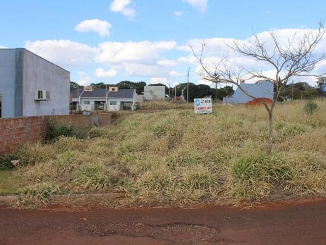 Terreno, Loteamento Avenida, Vera Cruz do Oeste, PR