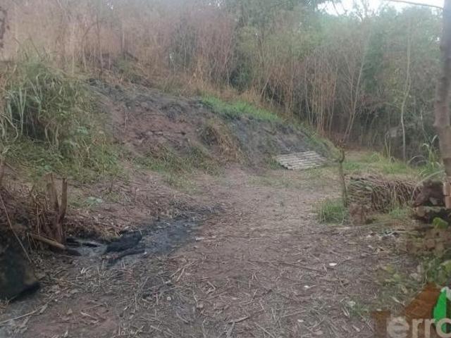 Terreno, Loteamento Fontes E Bosques Alam Grei, Rio Claro, SP