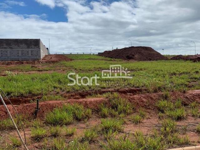 terreno Loteamento Residencial Arborais Campinas