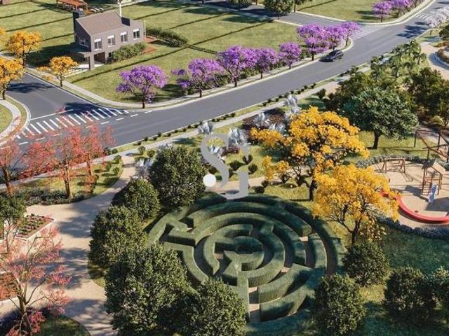 Terreno, Loteamento Residencial Arborais, Campinas, SP