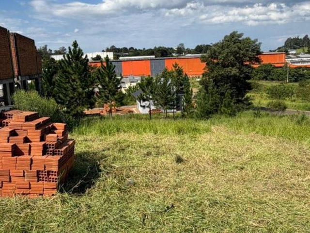 Terreno Loteamento Residencial da Colina