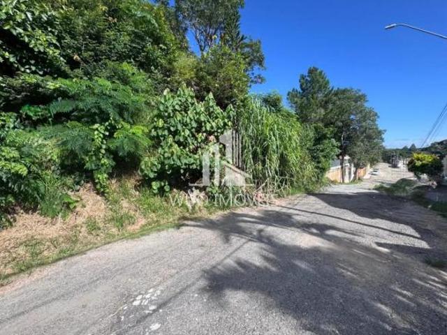 Terreno Padrão