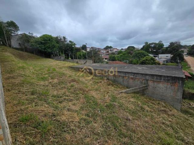 Terreno Padrão à venda em Campo Largo/PR Ferraria