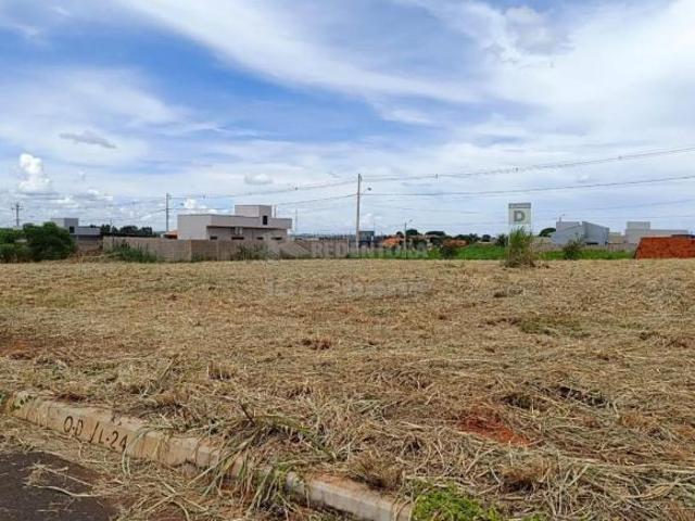 Terreno Padrão em Uchoa