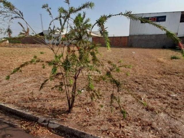 Terreno Padrão em Araraquara
