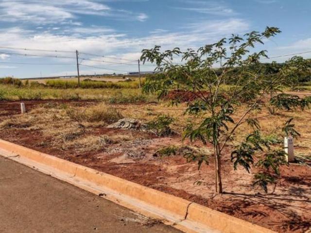 Terreno Padrão em Araraquara