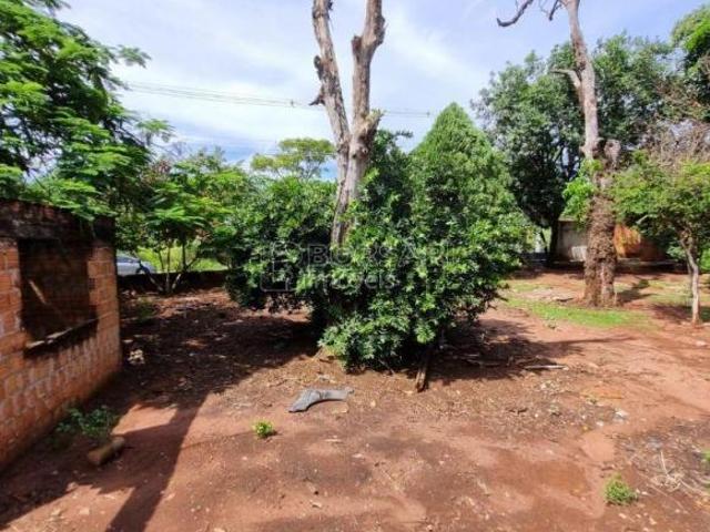 Terreno Padrão em Araraquara