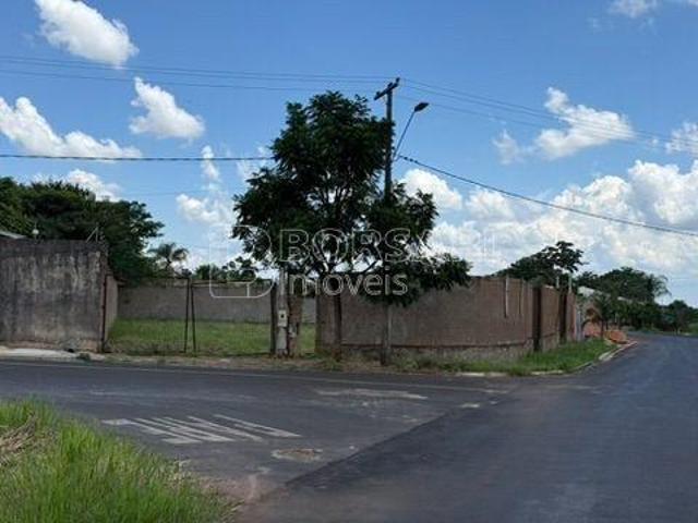 Terreno Padrão em Araraquara