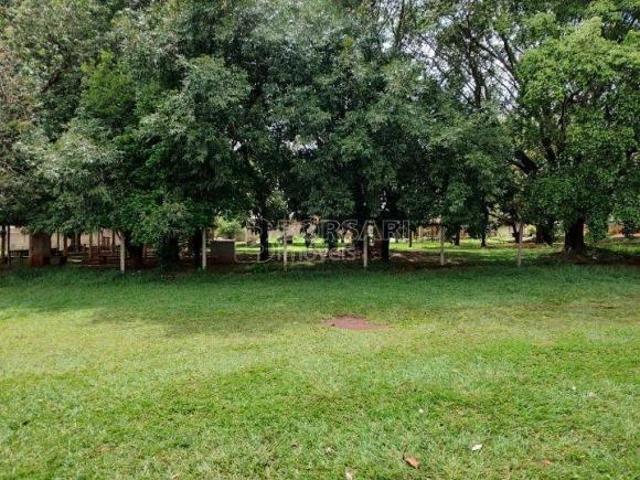 Terreno Padrão em Araraquara