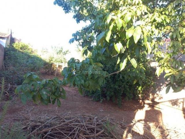 Terreno Padrão em Araraquara