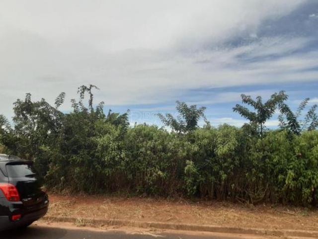 Terreno Padrão em Araraquara
