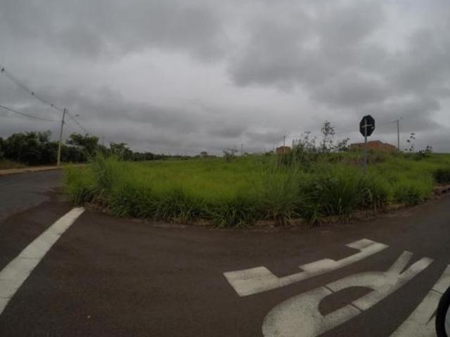 Terreno Padrão em Bady Bassitt