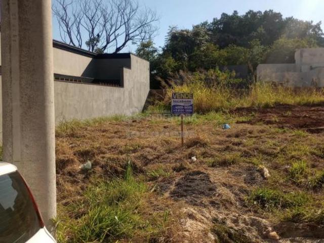 Terreno Padrão em Bady Bassitt