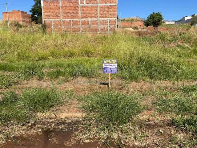 Terreno Padrão em Bady Bassitt