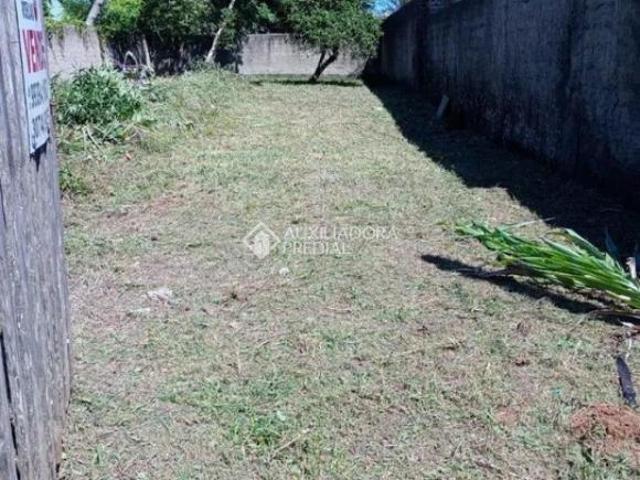 Terreno padrão em Gravataí
