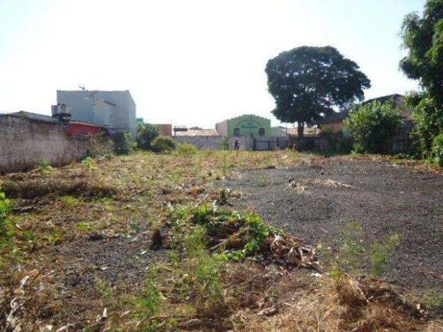 Terreno Padrão em Ibaté