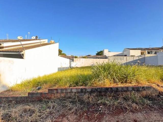 Terreno Padrão em Maringá