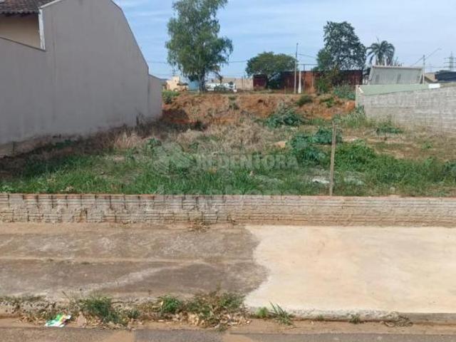 Terreno Padrão em Mirassol