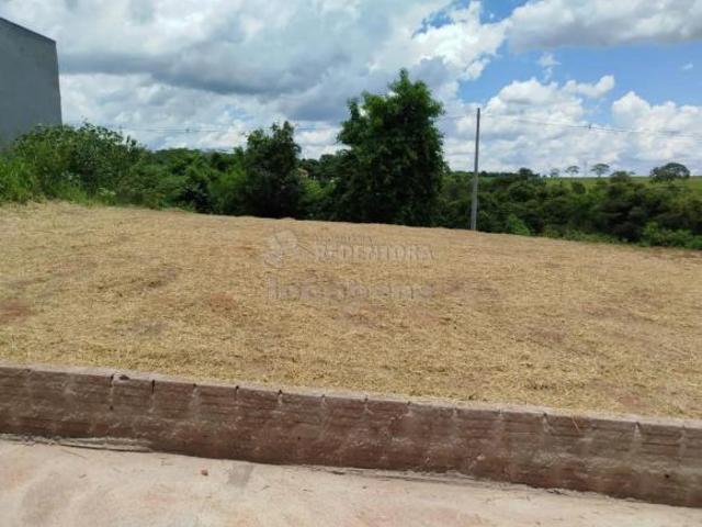 Terreno Padrão em Mirassol