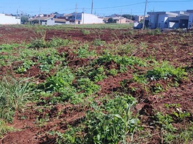 Terreno Padrão em Paiçandu