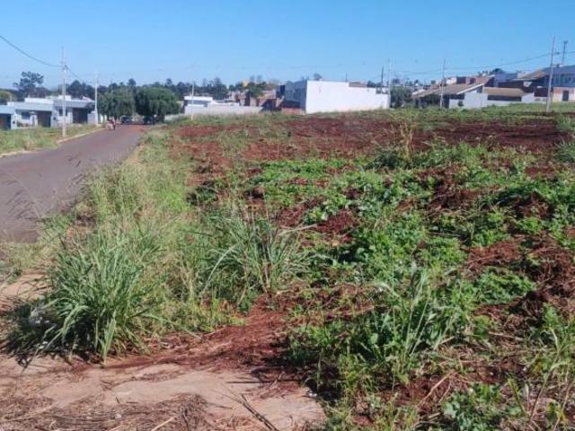 Terreno Padrão em Paiçandu