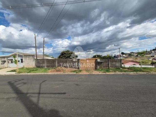 Terreno Padrão em Ponta Grossa