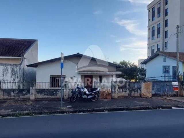 Terreno Padrão em Ponta Grossa