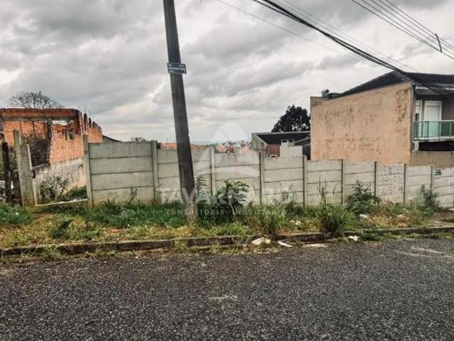 Terreno Padrão em Ponta Grossa