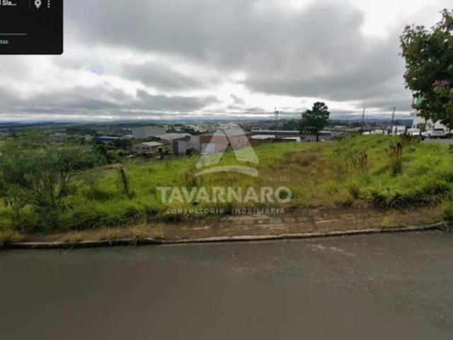 Terreno Padrão em Ponta Grossa