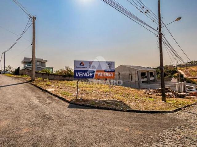Terreno Padrão em Ponta Grossa
