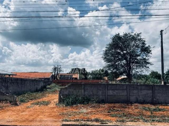 Terreno Padrão em Ponta Grossa
