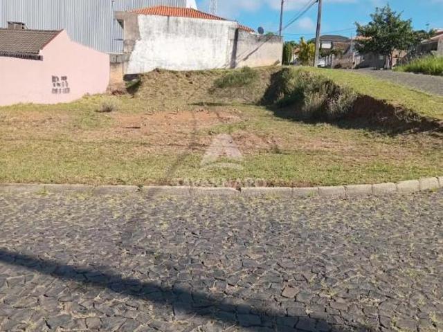 Terreno Padrão em Ponta Grossa