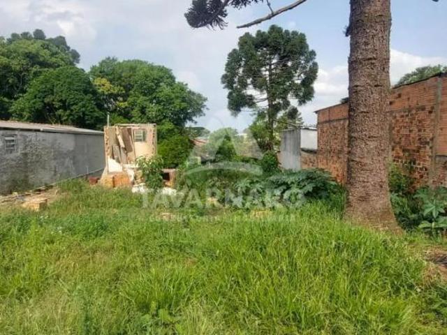 Terreno Padrão em Ponta Grossa