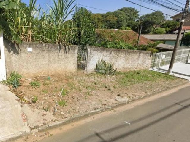 Terreno Padrão em Ponta Grossa