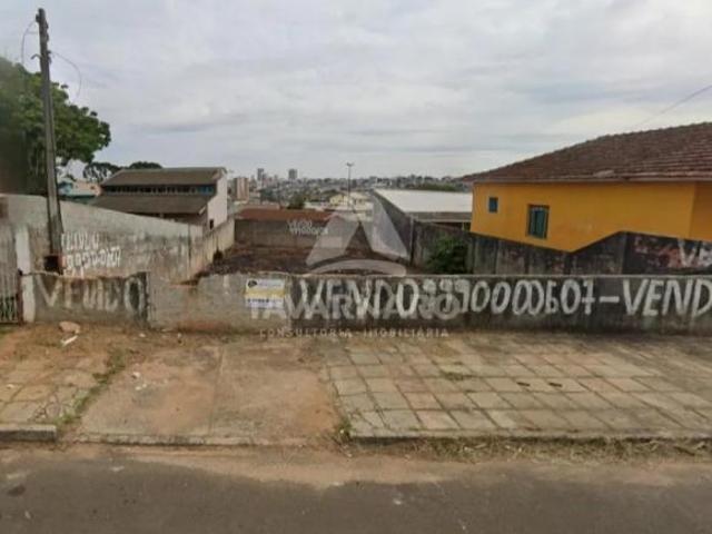 Terreno Padrão em Ponta Grossa