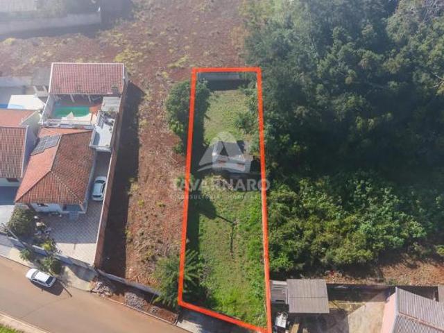 Terreno Padrão em Ponta Grossa