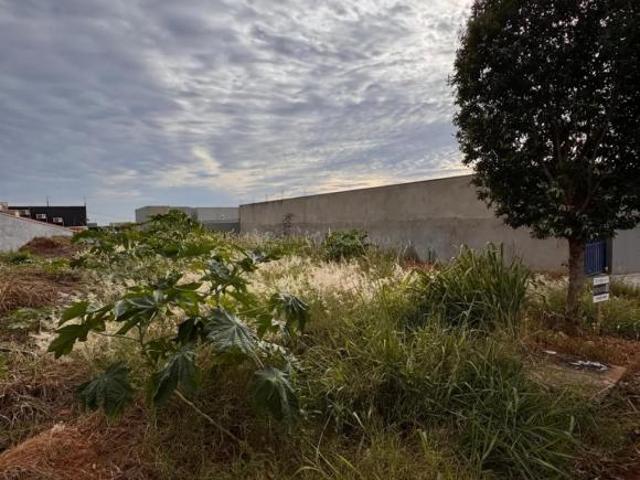 Terreno Padrão em Porto Rico