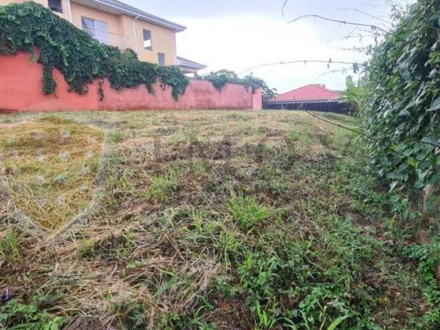 Terreno Padrão em Ribeirão Preto