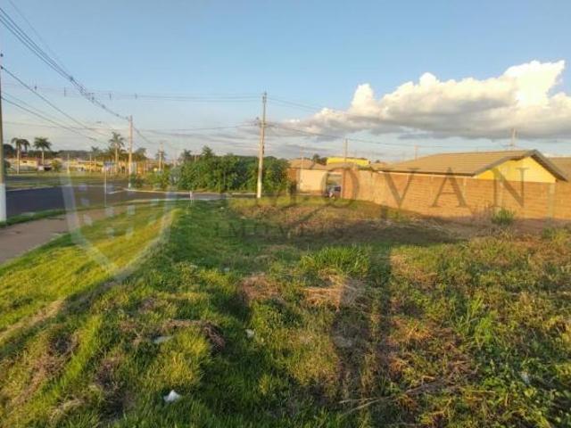 Terreno Padrão em Ribeirão Preto
