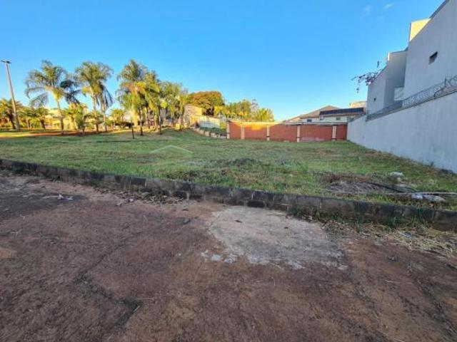 Terreno Padrão em Ribeirão Preto