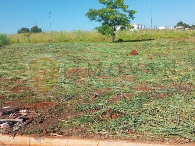 Terreno Padrão em Ribeirão Preto