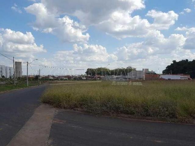Terreno Padrão em São Carlos
