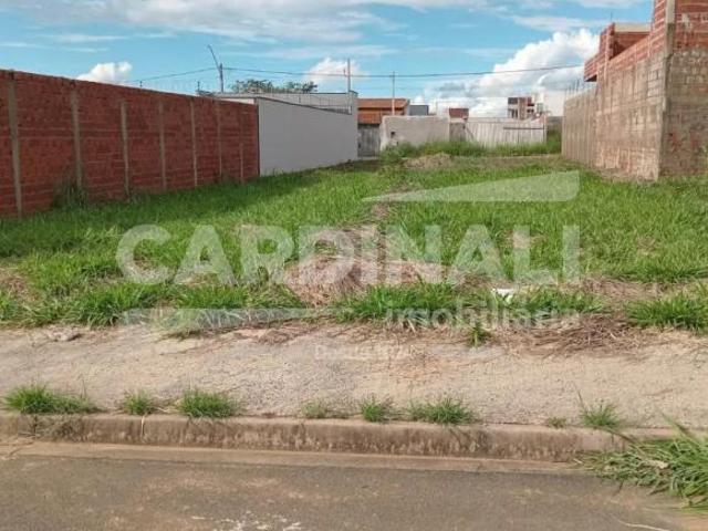 Terreno Padrão em São Carlos