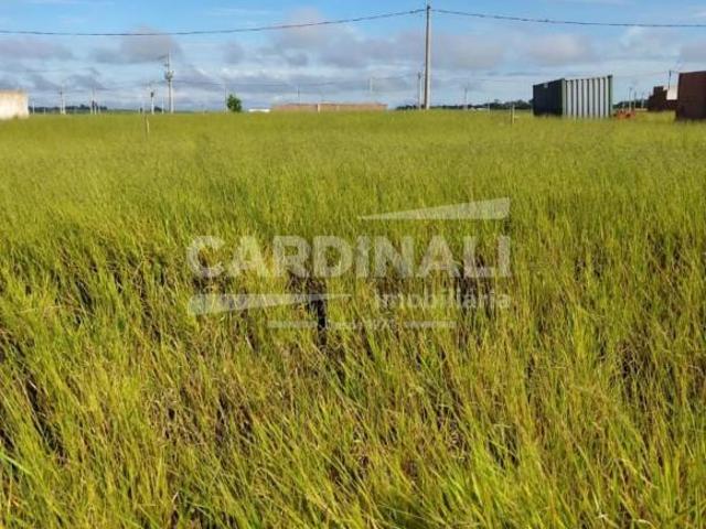 Terreno Padrão em São Carlos